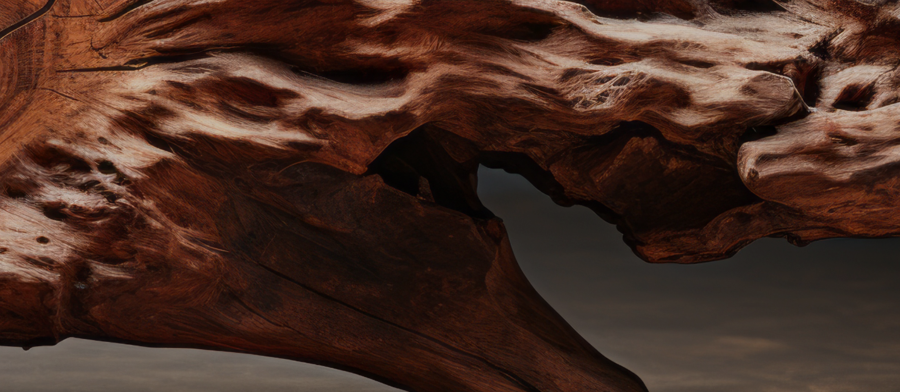 10% off Coffee tables & Lamps – Noha