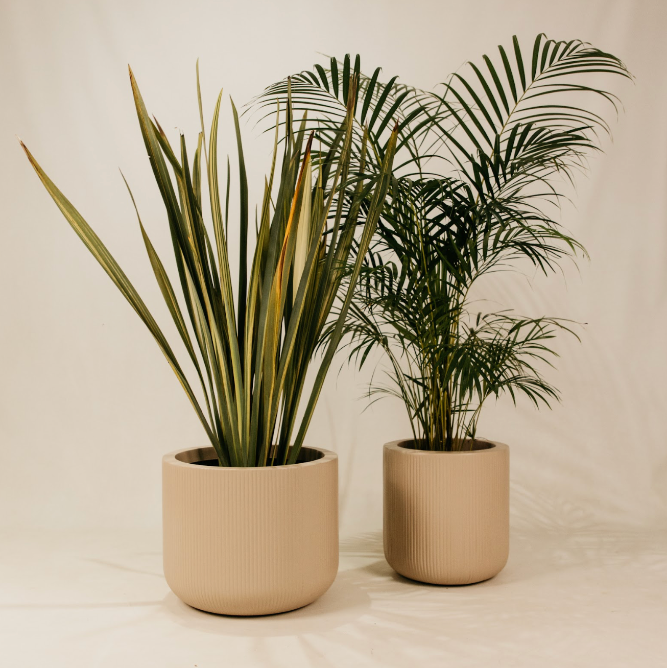Magwa Planter – Noha